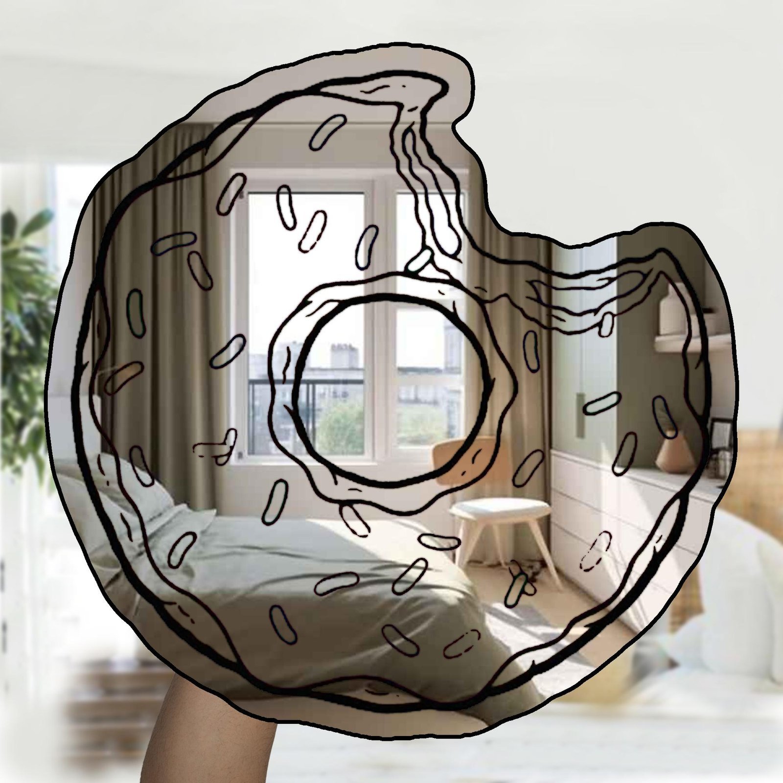 Donut Mirror Custom Mirror