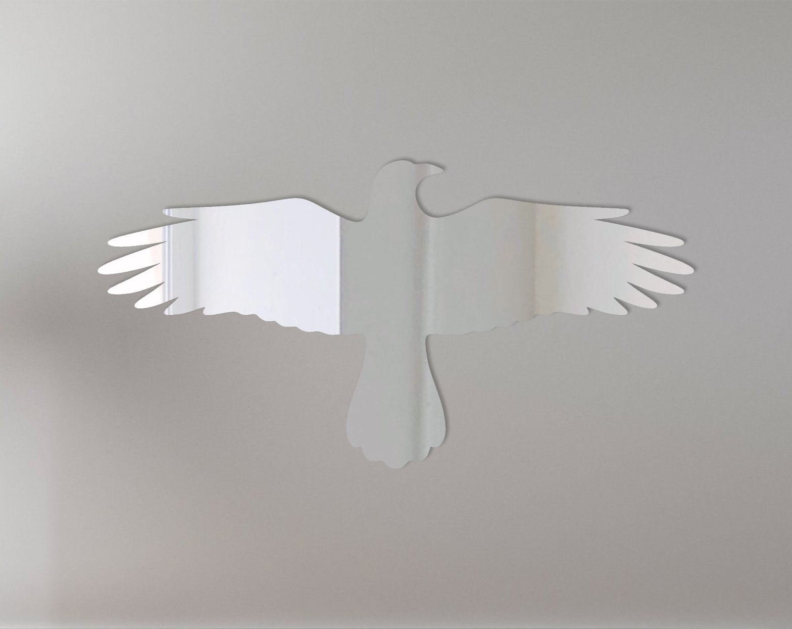 Flying Crow Mirror Sign Custom Mirror