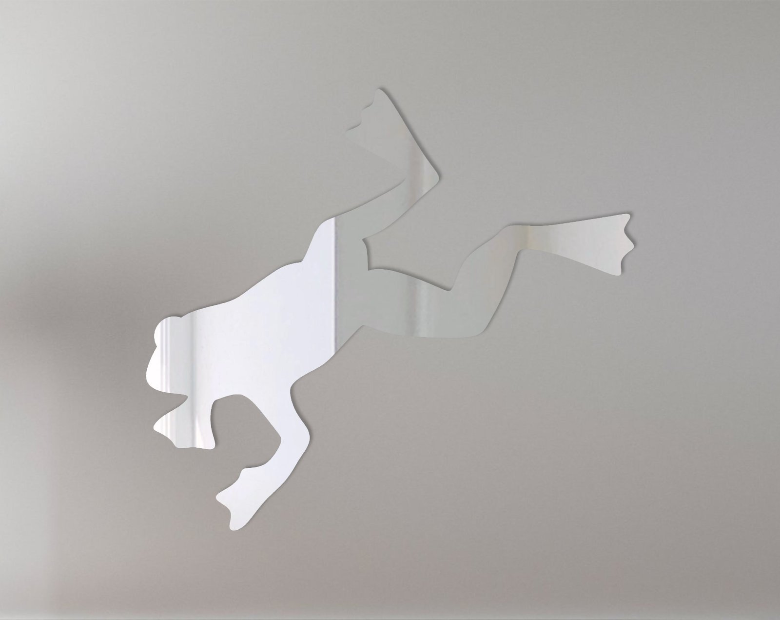 Jumping Frog Mirror Sign Custom Mirror