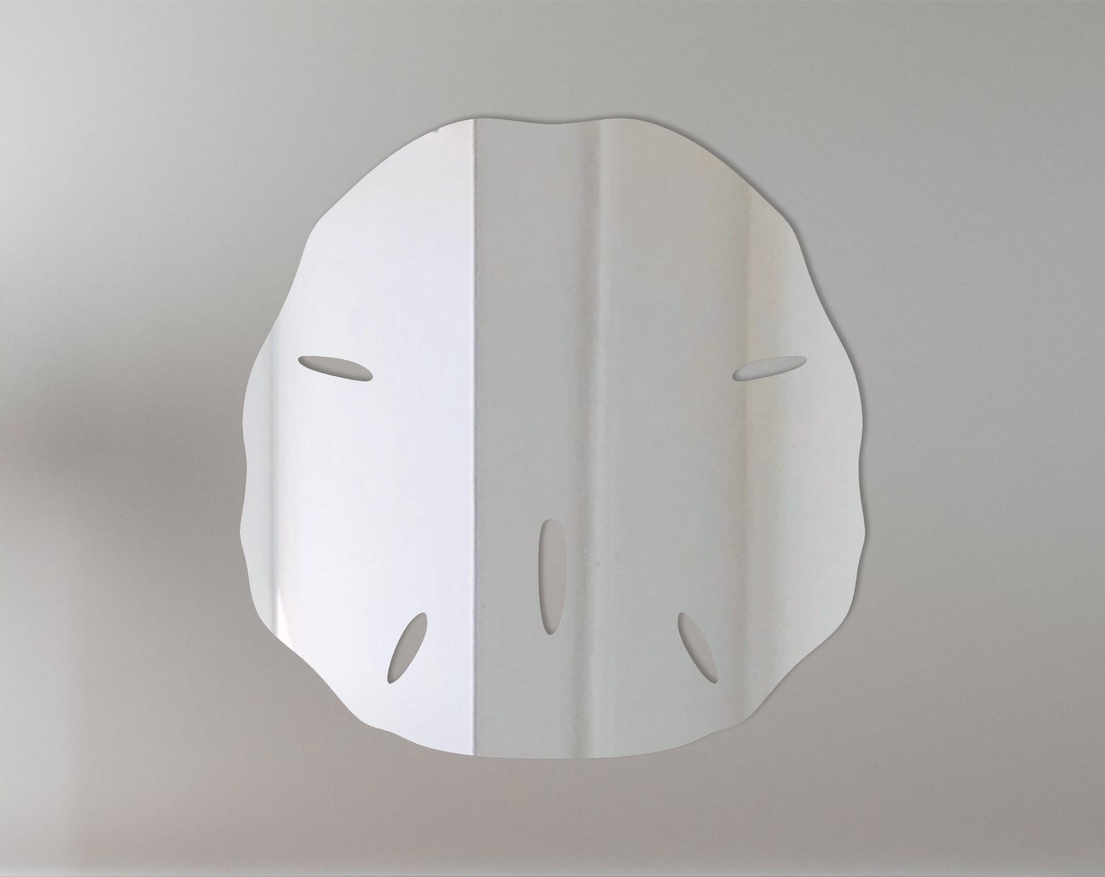 Sand Dollar Mirror Sign Custom Mirror